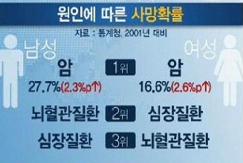 남성 사망원인 1위는 암…자살은 10년 전보다 두 배 ‘껑충 일요신문