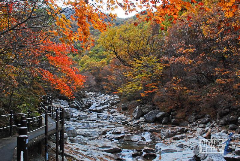 지리산 단풍 24~27일 절정 | 일요신문